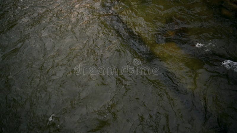 Merced River Floods Yosemite Valley Below Yosemite Falls Stock Footage ...