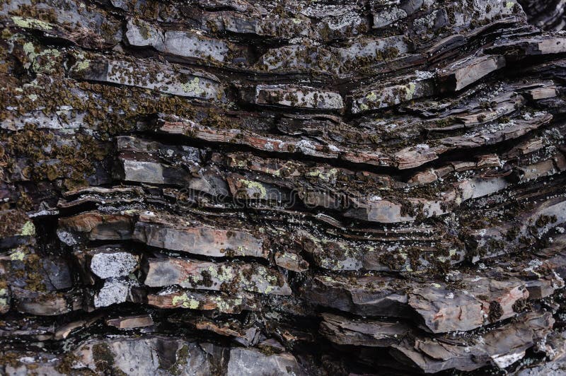 Dark Wavy Layered Rock Surface Stock Image - Image of coarse, lichen ...