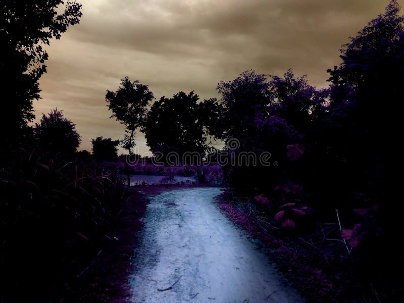 Dark way in evening stock image. Image of outdoor, path - 152617803