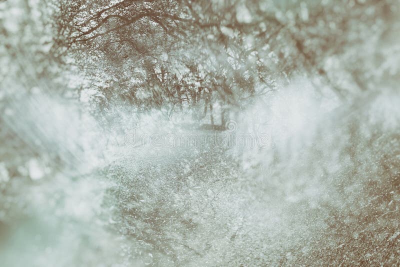 Dark way in the woods stock photo. Image of space, horror - 100810624