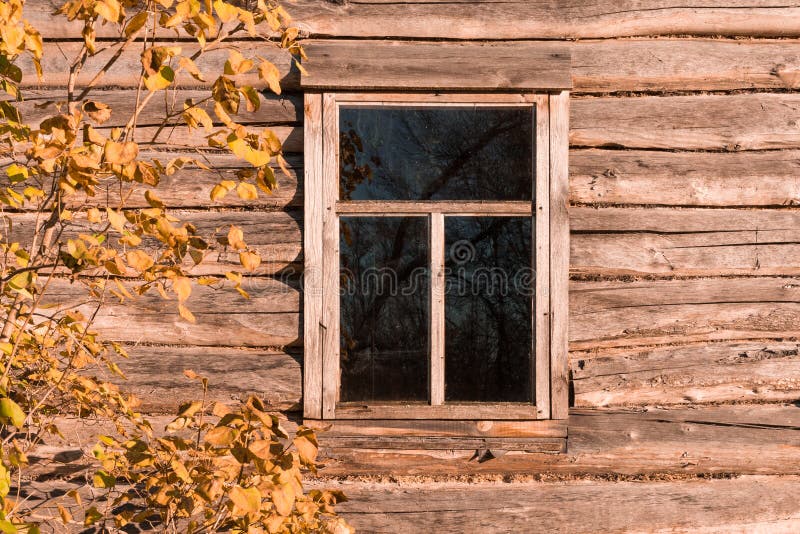 A Dark Window in a Log House and a Tree Branch with Leaves Stock Photo ...