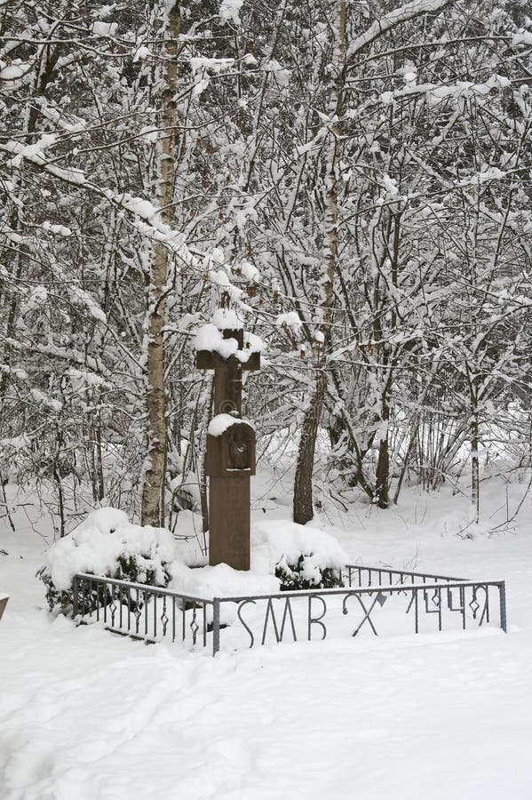 Dark Winter Landscape with Snow Covered Trees Stock Photo - Image of ...