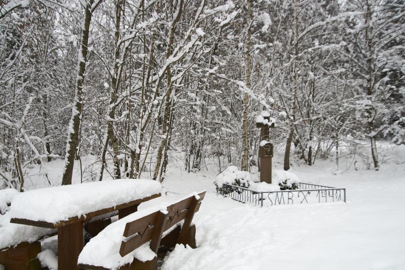 Dark Winter Landscape with Snow Covered Trees Stock Image - Image of ...
