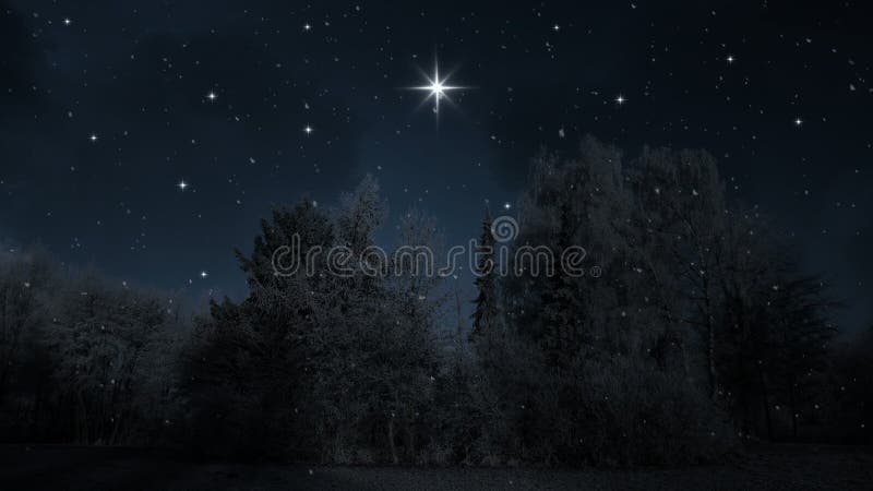 Dark Winter Night Background Loop Stock Footage - Video of landscape ...
