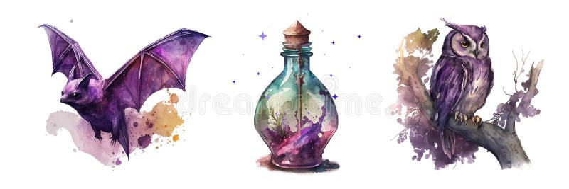 The Dark Witch S Items and Pets. a Magic Potion, a Bat and an Owl Stock ...