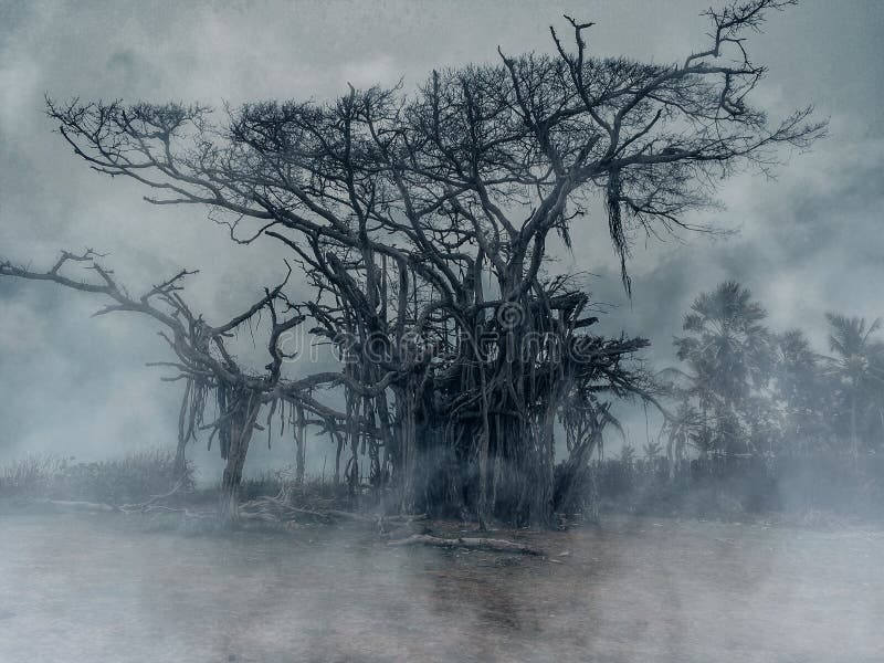 Dark withered tree stock image. Image of withered, dark - 250234081