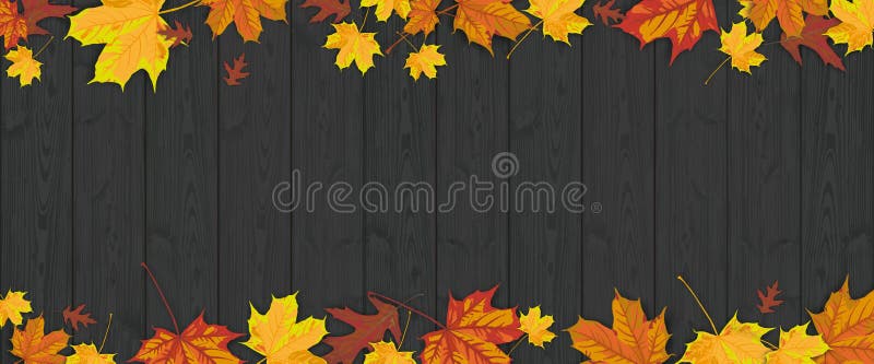 Dark Wood Autumn Foliage Header Stock Illustrations – 16 Dark Wood ...