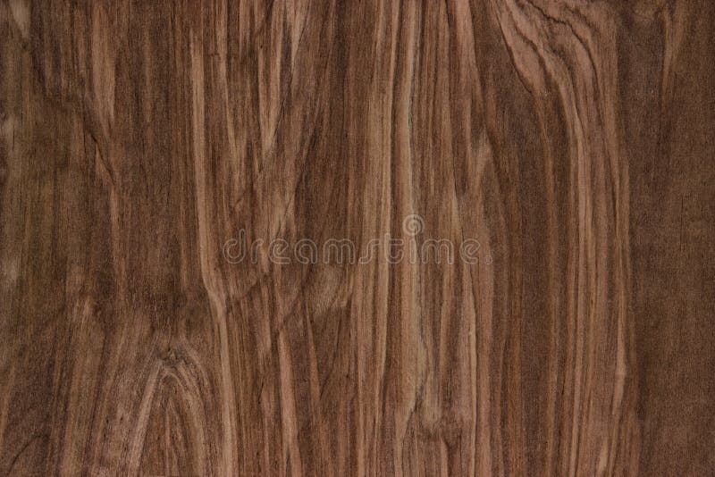 Dark Wood Texture Background Plank Panel Timber Stock Photo - Image of ...
