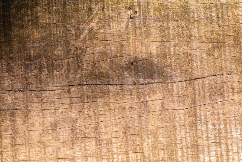 Real Wood Texture Image Background Stock Image - Image of background ...