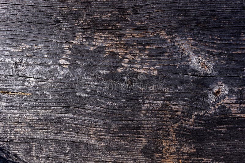 Dark Wood Texture: Natural Grain and Pattern Stock Image - Image of ...