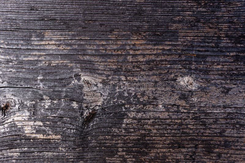 Dark Wood Texture: Natural Grain and Pattern Stock Image - Image of ...