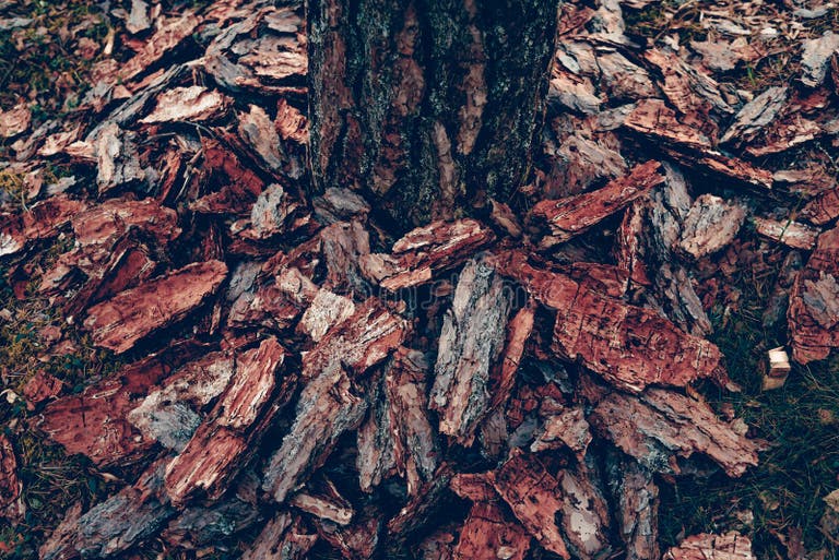 Dark Wood Texture, Processed Lumber Pattern Background Design Stock ...