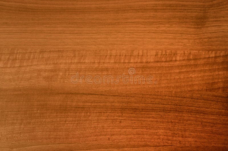 Dark Wood Texture stock photo. Image of dark, material - 40270268