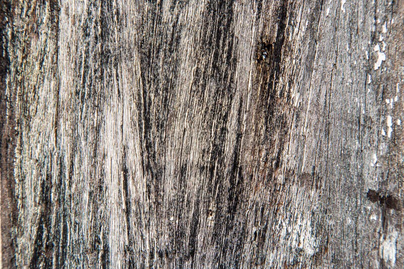 Dark Wood Textures Aged Elegance Weathered Timber Stock Image - Image ...