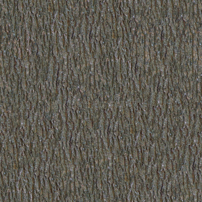 Wooden Bark. Seamless Tileable Texture. Stock Image - Image of wooden ...