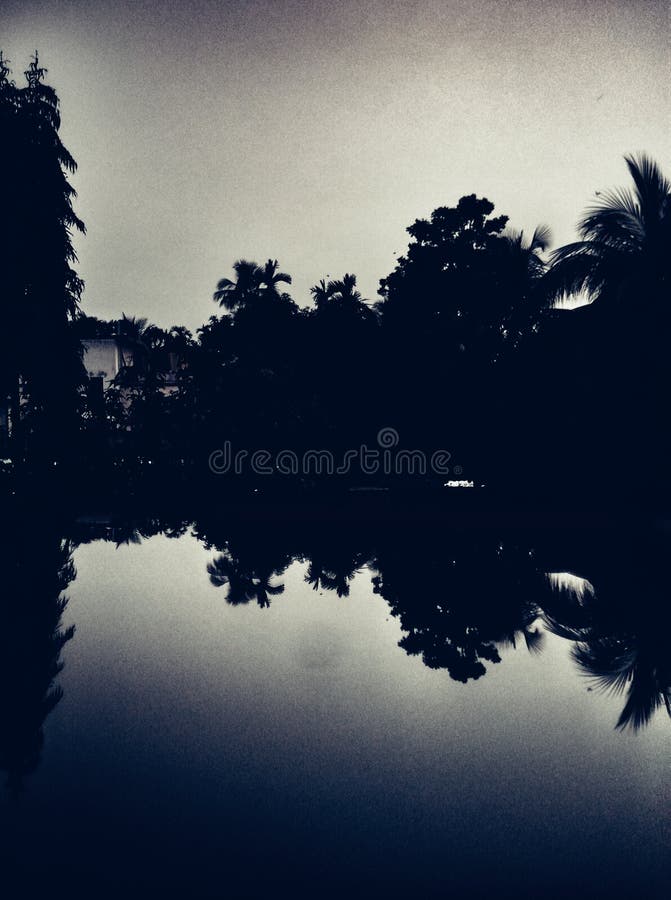 Darkened Grained Photo of Trees with Reflection Stock Image - Image of ...