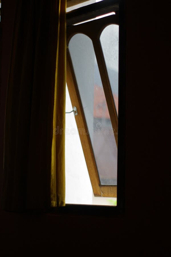 A panana lizard stock image. Image of bird, village - 209949355