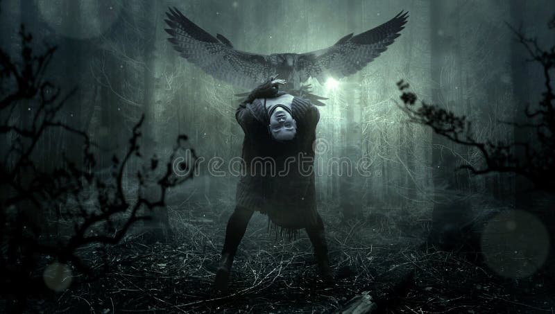 Darkness, Visual Effects, Phenomenon, Forest Picture. Image: 112496351