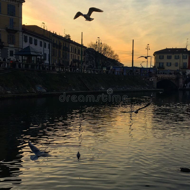 Darsena - Milan image stock. Image du sunset, ville - 103567629
