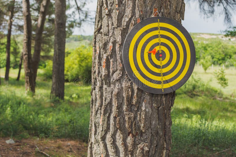 Dart Board with Dart Outside in the Park. Stock Photo - Image of luck ...