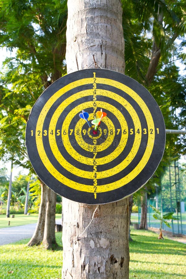 Dart game stock photo. Image of bullseye, accuracy, concentric - 23680506