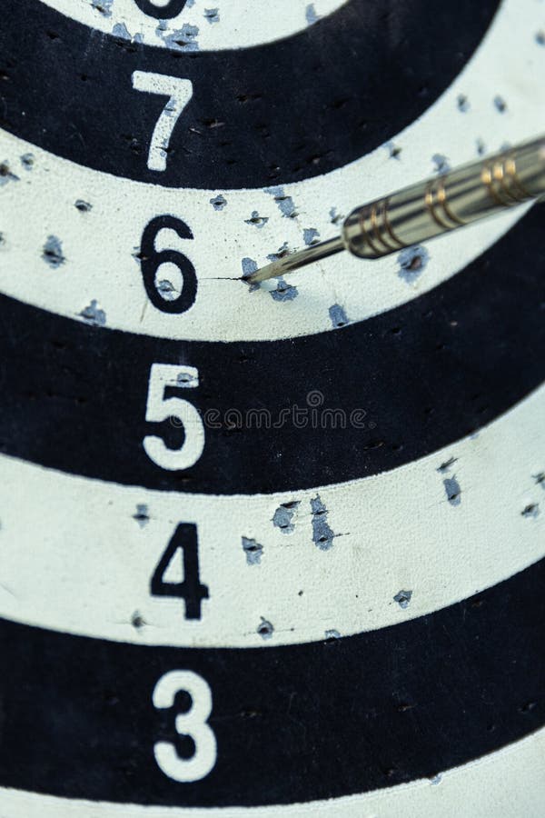 Dartboard Against Old Tree Background. Two Darts Hit the Target of a ...