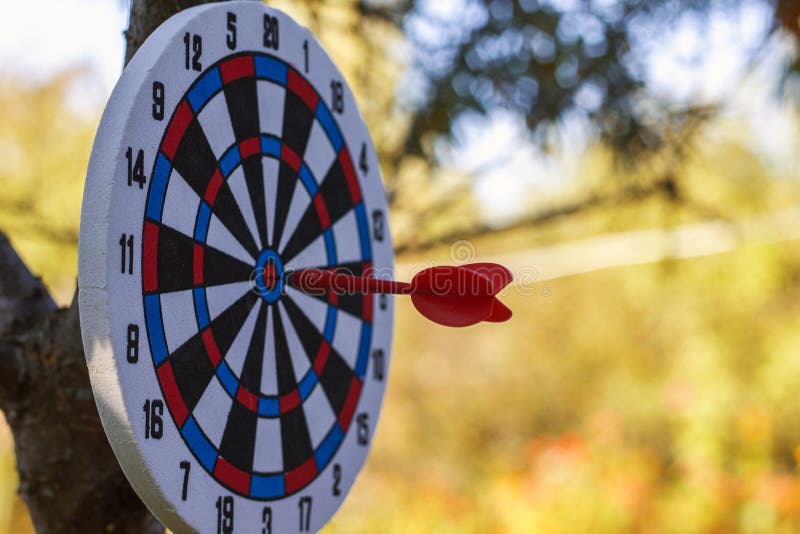 Dartboard on Tree and Dart in Center of Target Stock Image - Image of ...