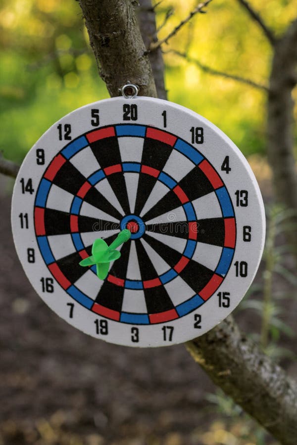 Dartboard on Tree. Dart in Center of Target Stock Photo - Image of ...