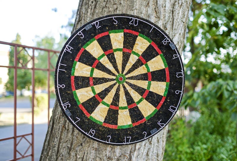 Dartboard on Tree. Dart in Center of Target Stock Photo - Image of ...