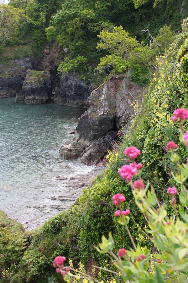 Dartmouth Cove stock image. Image of tide, coast, devon - 95306565