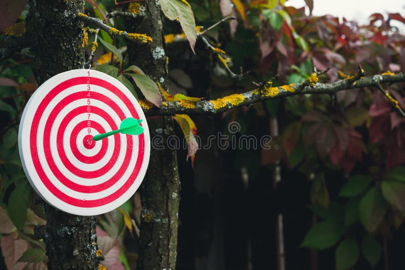 Darts on Tree in Autumn. ?oncept of Success Stock Photo - Image of ...