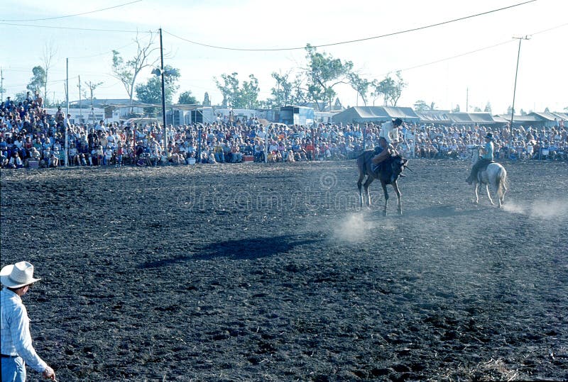 1976 Darwin, N T Australia Rodeo Foto de archivo editorial - Imagen de ...