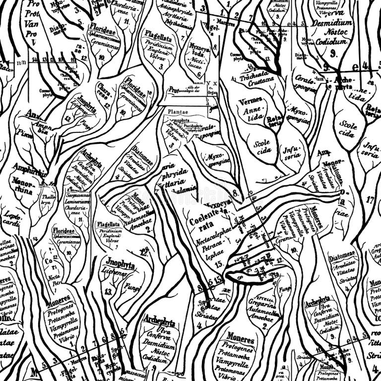 Darwin Design Stock Illustrations – 738 Darwin Design Stock ...