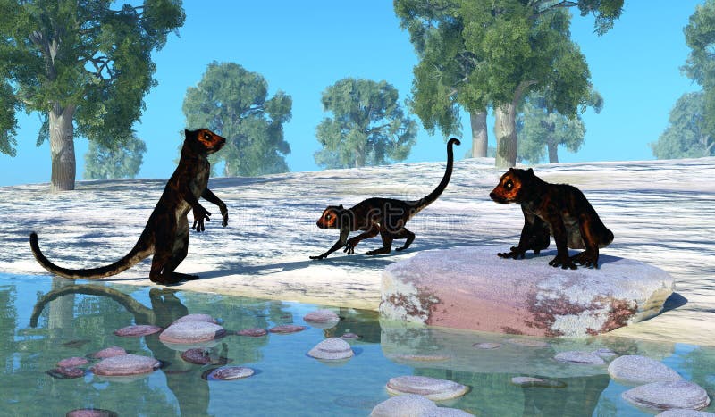 Darwinius Animals Stock Illustrations – 1 Darwinius Animals Stock ...