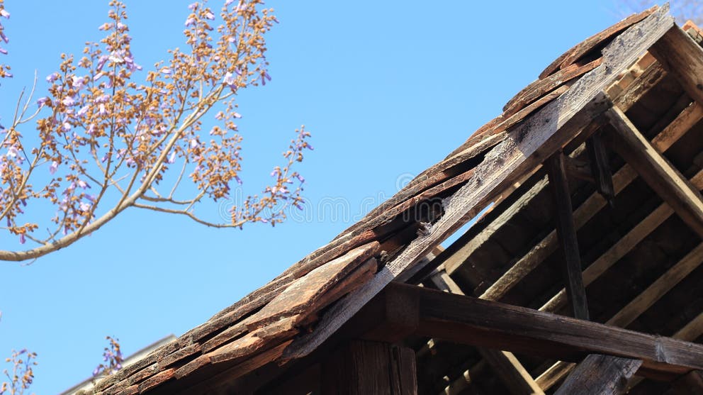Das Alte Verlassene Haus Und Der Baum Stockbild - Bild von zerfall ...