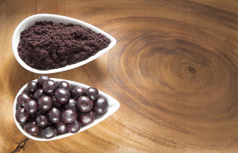 Das Amazonas-acai Frucht Euterpe Oleracea Stockbild - Bild von amazonas ...