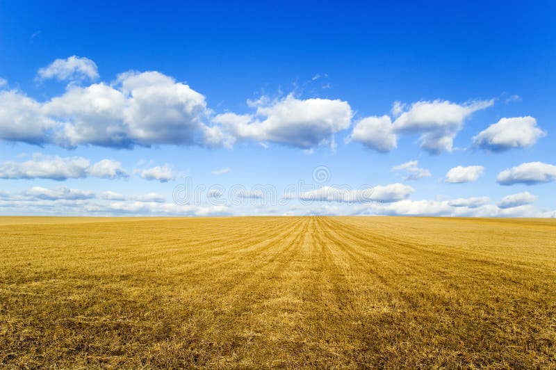 Das Feld. stockbild. Bild von städtisch, freiheit, frühling - 1859587