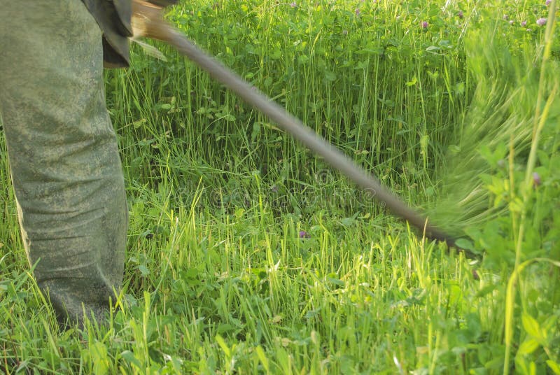 Sense im Gras stockbild. Bild von gefahr, gefährlich - 17166463