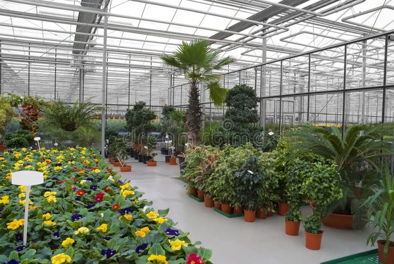 Das industrielle Treibhaus stockbild. Bild von pflanzen - 13140025