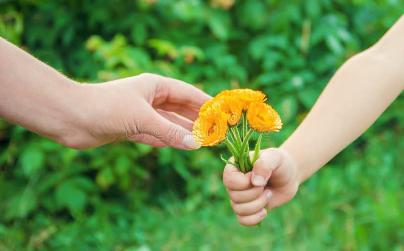 Das Kind Gibt Seiner Mutter Die Blume Stockbild - Bild von kind ...