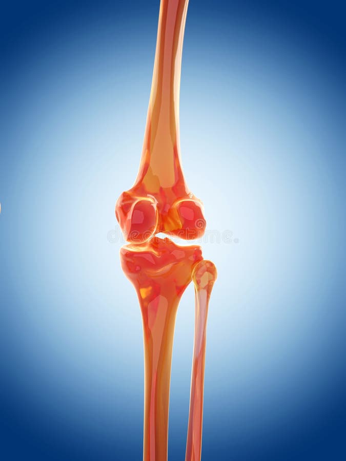 Das Kniegelenk stock abbildung. Illustration von biologie - 59787165