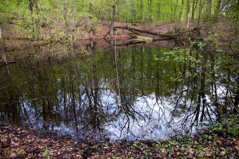 Das Morasko-Meteorit-Naturreservat Stockfoto - Bild von posen ...