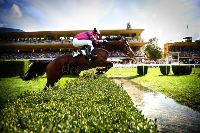 Das Pferd Springt Das Hindernis Redaktionelles Foto - Bild von flug ...
