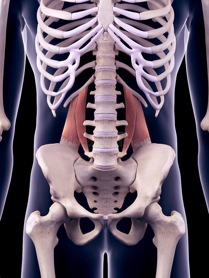 Quadratus Stock Illustrationen, Vektoren, & Kliparts - 79 Stock ...