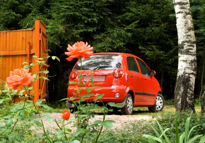 Das rote Auto stockbild. Bild von pelz, fahrzeug, bäume - 2850839