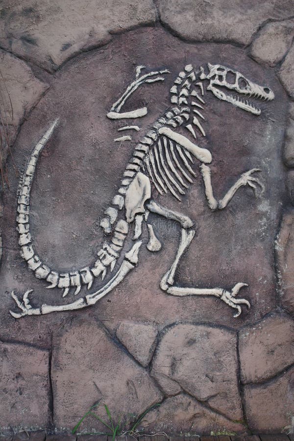 Dino-Skelett im Stein stockbild. Bild von dino, park - 44011499