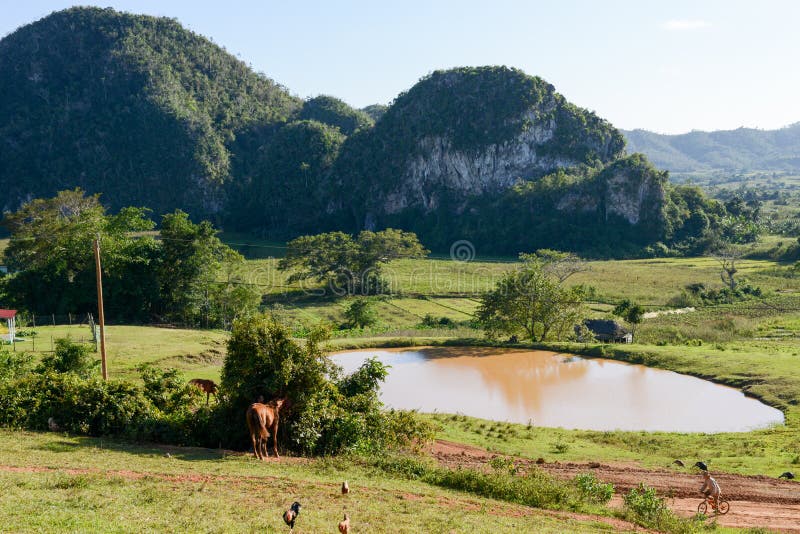 Das Tal Von Vinales Auf Kuba Redaktionelles Bild - Bild von grün ...