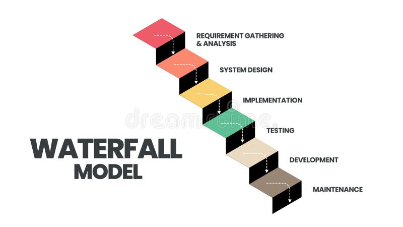 Das Wasserfall-Modell Infographic Vektor Wird in Software-Engineering ...