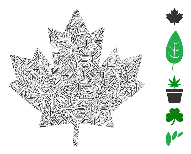 Dash Mosaic Maple Leaf Icon Stock Illustration - Illustration of design ...