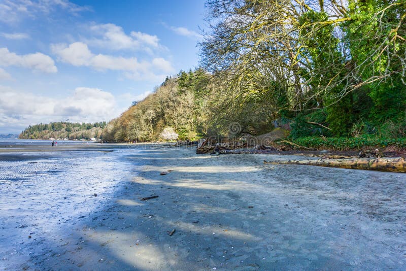 Dash Point Park Shoreline 12 Stock Photo - Image of waterfront, park ...